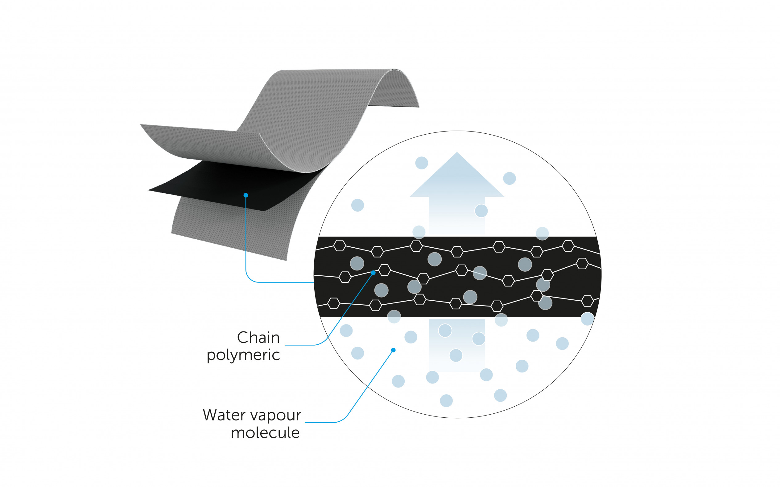 Monolithic membranes vs. microporous membranes